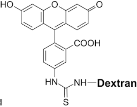 ایزوتیوسیانات دکستران - 46945 Sigma-Aldrich شیمی کهن